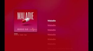 Maladie Lyrics In English Translation- Mauvais Djo